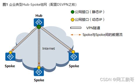 dsvpn简介 csdn博客