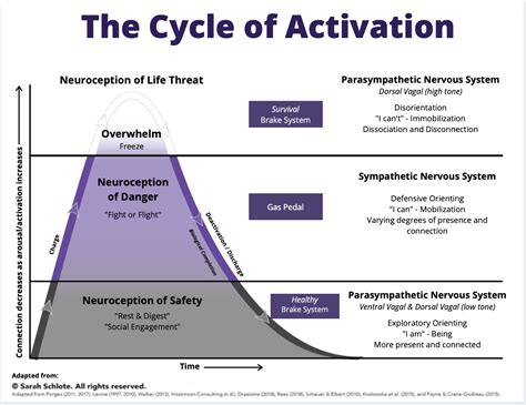 [ Nervous Holistic Homeostasis Manon Laviolette Msc