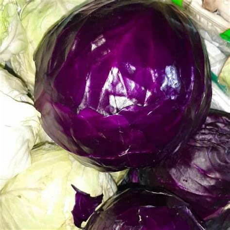 Laper Object Detection Model By Bangkit Academy