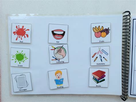 Busy Book Sorting By Function Feature Class Special Supplies