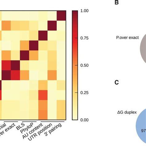 Correlation Among Features Based On Prediction For Human Mirnas And Download Scientific Diagram