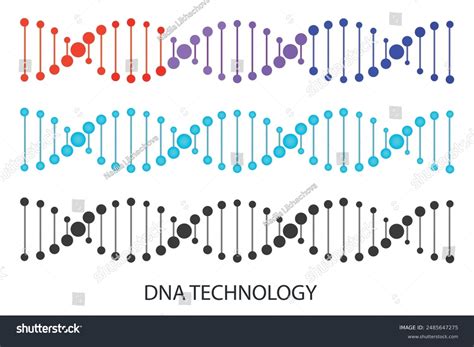Dna Vector Illustration Model Molecular Structure 库存矢量图（免版税）2485647275 Shutterstock