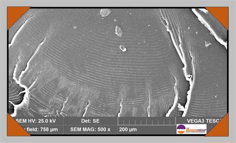 Jeffrey A Jansen On Linkedin Plastics Plasticsengineering Polymerscience Materialsscience