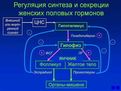 Гормоны надпочечников и половых желёз Online Presentation