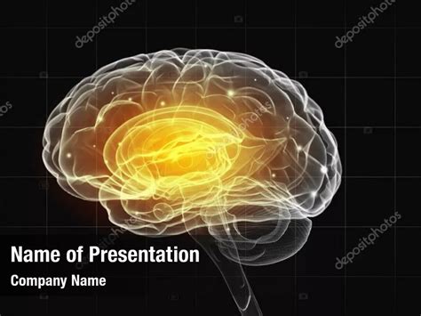 Brain Template For Powerpoint