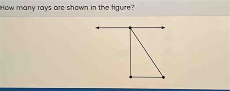 Solved How Many Rays Are Shown In The Figure Math