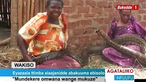 Woman Gives Birth To A Python Science Vs Superstition Youtube