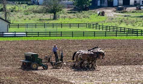 Amish Rules A Guide To Rules And Punishments Amish Baskets