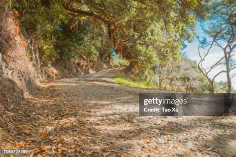 Unpaved Roads Photos And Premium High Res Pictures Getty Images