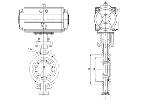 Api 609 Eccentric Wafer Butterfly Valve Zfa Valves Manufacturer