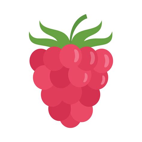 Raspberry Icon Flat Isolated Vector 14987453 Vector Art At Vecteezy