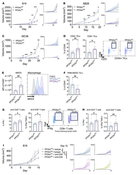 Jci Pp2ac Strn4 Negatively Regulates Sting Type I Ifn Signaling In