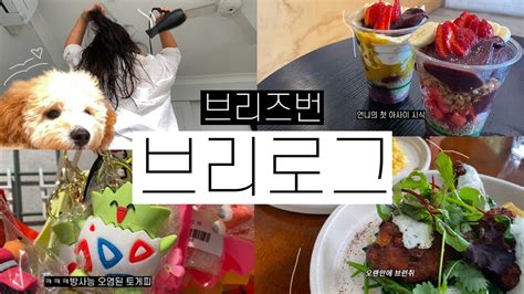 VLOG 새해맞이 브리즈번 브이로그 직장인 일상 YouTube