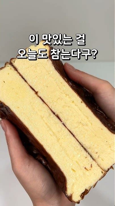 바스크치즈케이크는 못 참지 Shorts Youtube