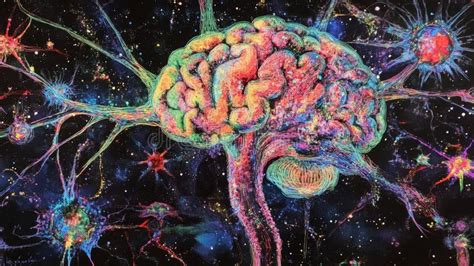 Vibrant Neurons A Psychedelic Exploration Of The Human Brains Neural Networks Stock Illustration