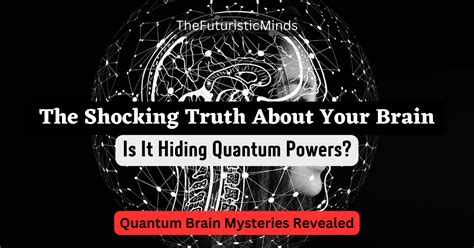 Is Our Brain A Quantum Computer Discover The Truth Tfm