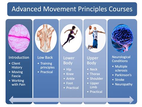 Balanced Body New Program Advanced Movement Principles Movements Afoot