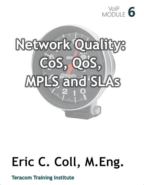 network quality cos qos mpls and slas voip modules book 6 ebook