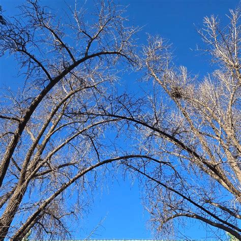 日本樱花sakura冷冻包埋剂oct冷冻切片包埋剂4583 2025已更新 染色 标本 组织