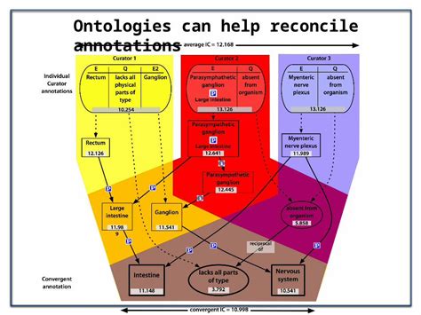 PPTX Developing Anatomy Ontologies In The Context Of Others Melissa Haendel Chris Mungall