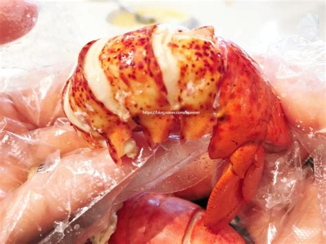 랍스터 찌는 방법