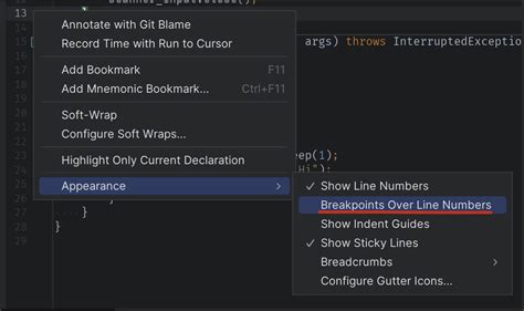missing feature in intellij 2024 2 ides support intellij platform