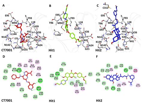 Binding Mode And Intermolecular Interactions Of Ct7001 Ad Hit1
