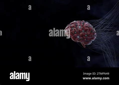 Brain Machine Interface Stock Videos And Footage Hd And 4k Video Clips Alamy