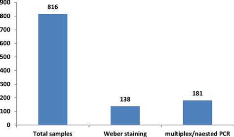 The Comparison Of The Staining And Multiplexnested Pcr Methods In The