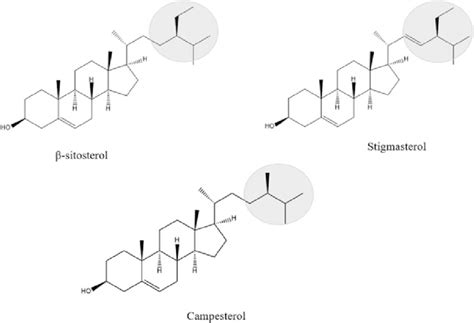 2 Chemical Structures Of β Sitosterol Stigmasterol And Campesterol Download Scientific Diagram