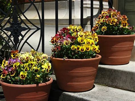How To Fill An Outdoor Planter With Artificial Flowers