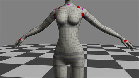Female Body Topology Grid Blender Market