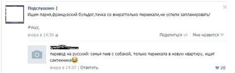 Семья геев с собакой Пикабу