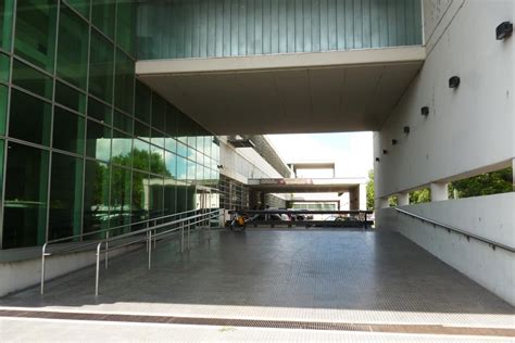 Pelea Entre Hermanos Con Heridas De Por Medio