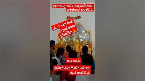 🙏සාදූ සා මේ නරඹන ඔබටත් එතන්ට ගියා වගෙ හැගිම ජනිත වේවා කුසල්සිත් නැන්වේවා පින් අනුමොදම්වේවා