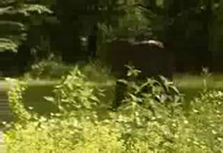 Surprising Sexual Sighting On A Scenic Road Wow Video EBaum S World