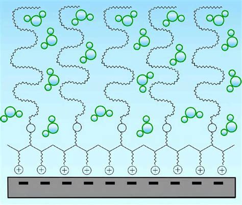 Aqueous Lubrication With Polymer Brushes Surface Science And Technology Eth Zurich