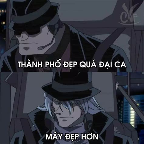 golang và gin rượu chuột chũi