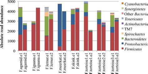 Phylum Level Bacterial Community Composition Of Faecal Samples
