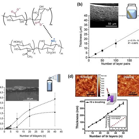 A Schematic Representation Of The Electrostatic Interaction Between Download Scientific
