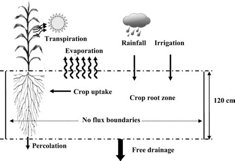 schematic representation of the depth of simulation domain and boundary