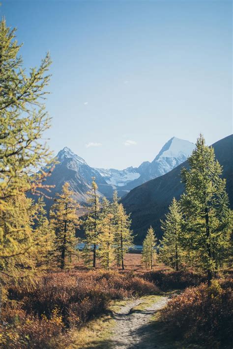 가을 가을 색 경치 고산 풍경 고요함 광야 국립 공원 그림 같은 깨끗한 나무 농촌의 눈 덮인 러시아
