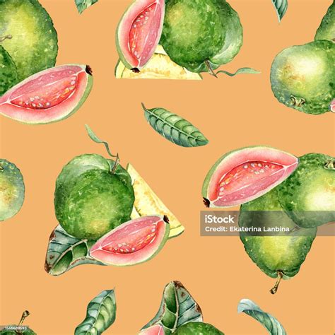 전체 구아바와 조각은 베이지 색으로 분리 된 수채화 무늬를 남깁니다 열대 과일 핑크 옐로우 펄프 구아자바 손으로 그렸습니다 포장 포장 섬유 배경 벽지 디자인 0명에 대한