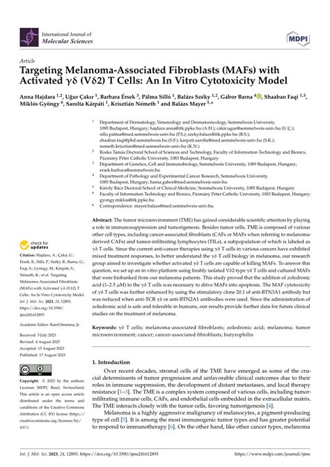 Pdf Targeting Melanoma Associated Fibroblasts Mafs With Activated