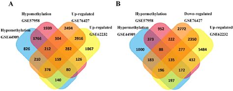 Identification Of Aberrantly Methylated Differentially Expressed Genes