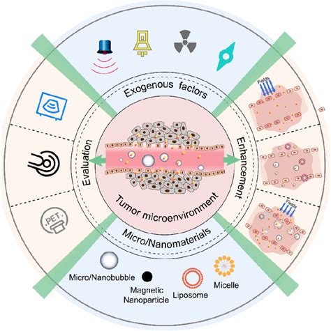 Figure 1 From Micro Nano Bubble Assisted Ultrasound To Enhance The Epr Effect And Potential