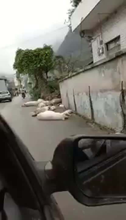 Adrian Preda Posted On Linkedin