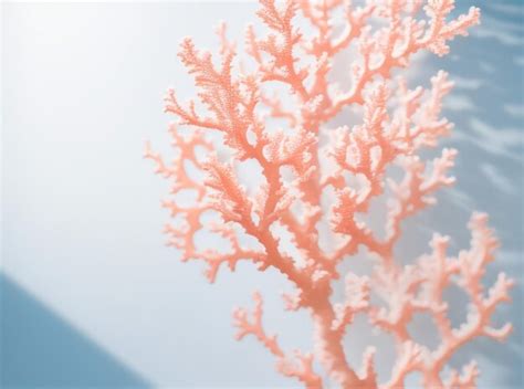 Premium Ai Image Coral Sunset Minimal Abstract Light Background