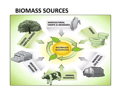 Biomass Generation And Utilization Pptx