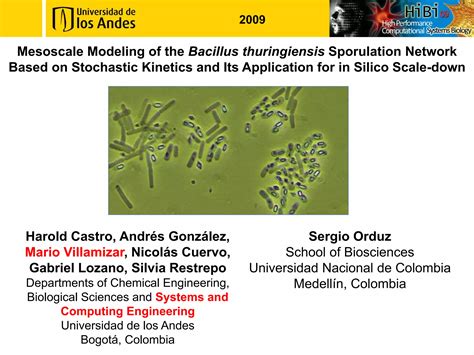 Bacteriumsimulatorgrid Bsgrid Tool For Simulating The Behavior Of